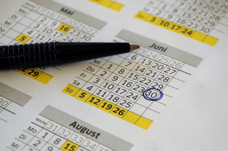 ¿Cuántos meses tiene un año?