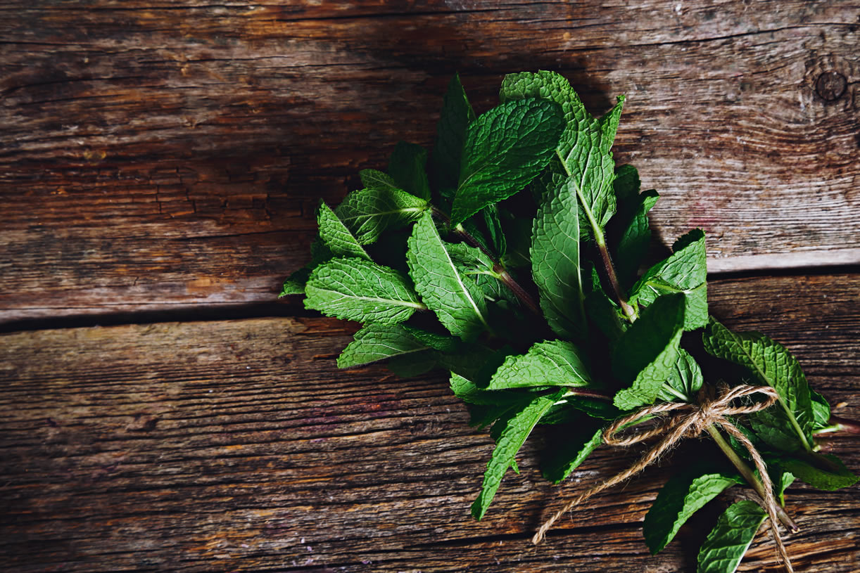 6 razones que hacen de la menta una de las mejores plantas medicinales